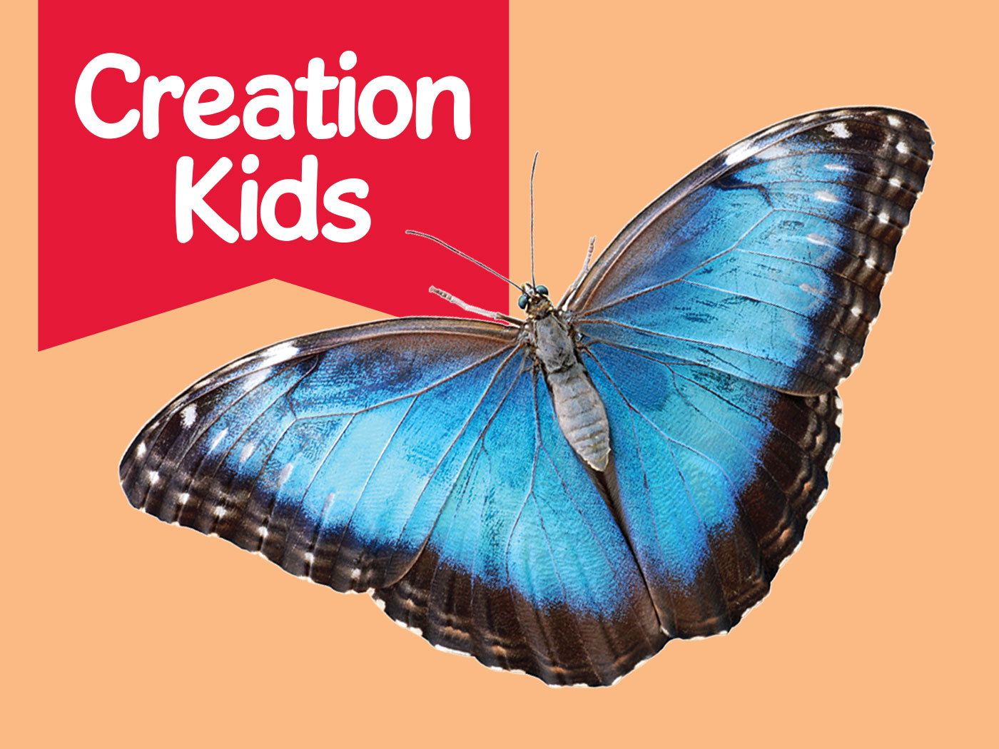 Could Evolution And Creation Be Telling The Same Story In Different Ways? | The Institute for ...